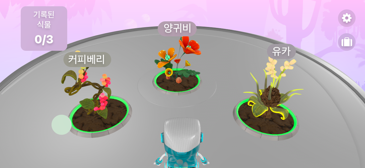 Apple HIG Foundations : Typhography