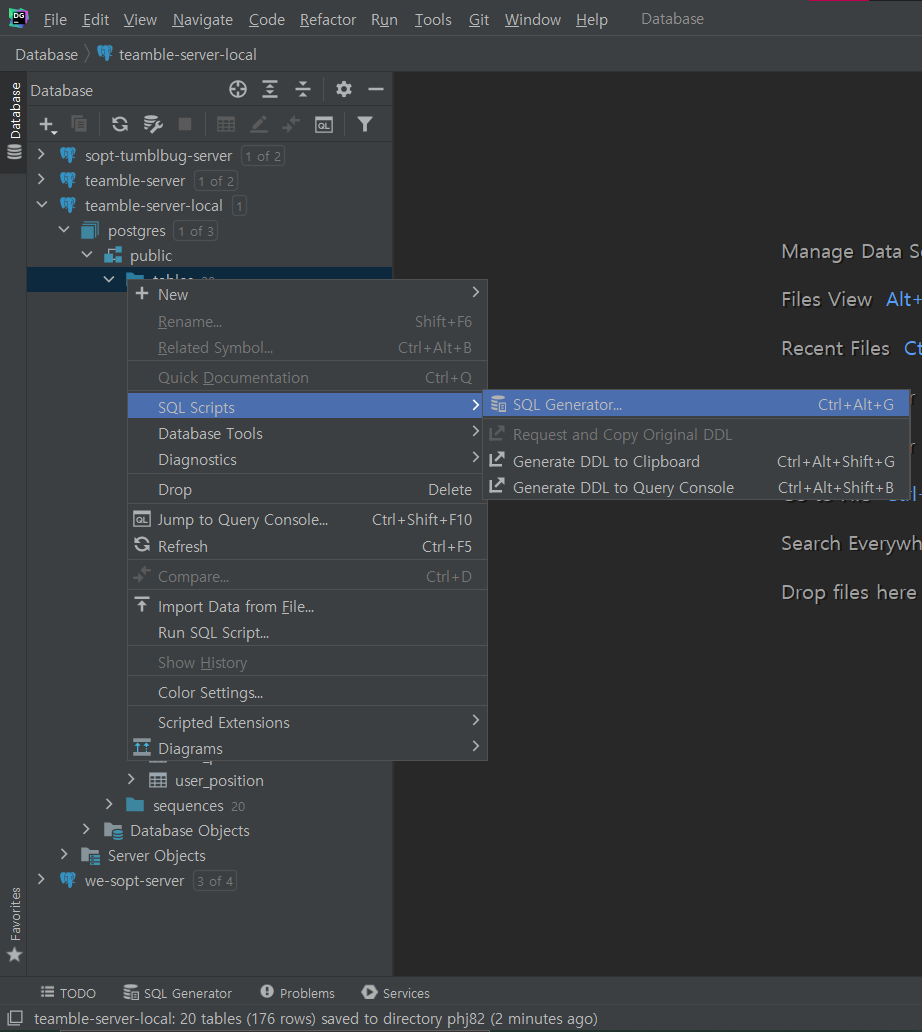 [PostgreSQL] Local DB연결