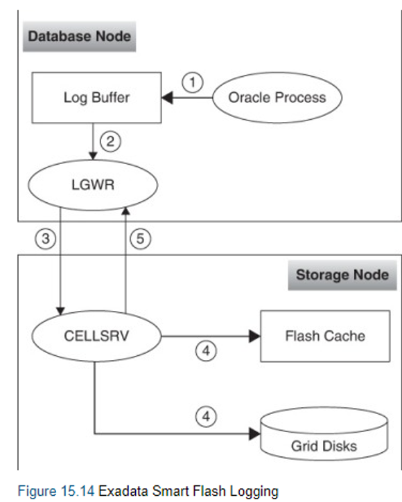 ORACLE EXADATA