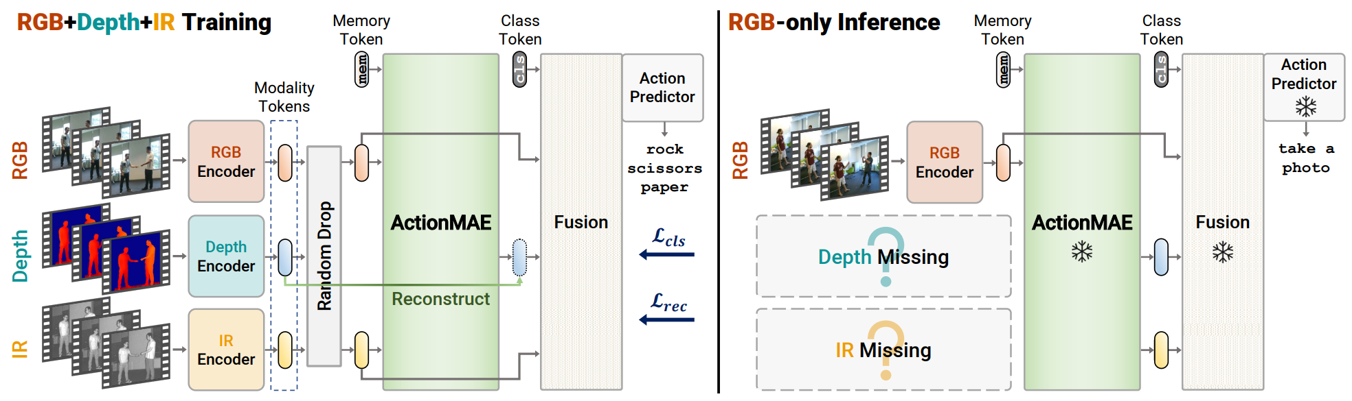 [Paper Review] Towards Good Practices for Missing Modality Robust Action Recognition