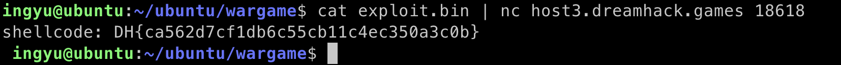 [dreamhack] shell_basic