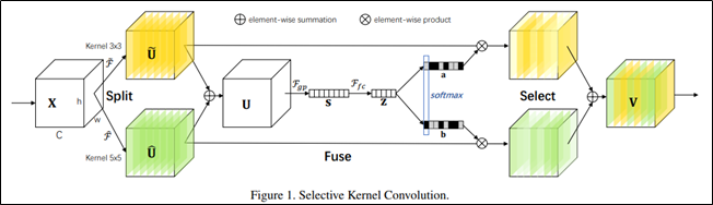 Selective Kernel Networks