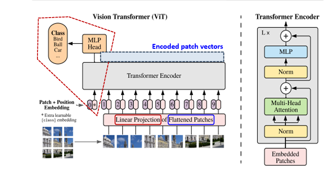 Vision Transformers