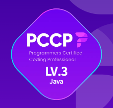PCCP(프로그래머스 코딩전문역량인증) 자격증 취득 후기(Java, Lv3)