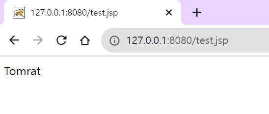 톰캣Tomcat(WAS, 서블릿 컨테이너) 설치 및 실행