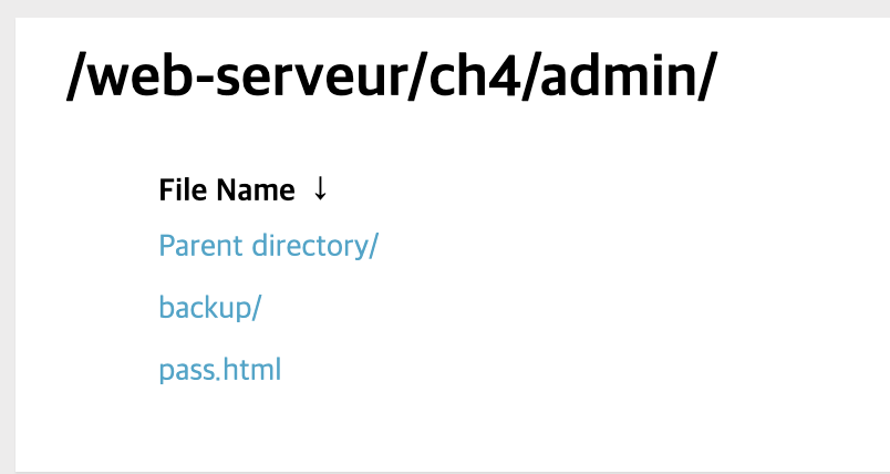 [Root Me] HTTP-Directory indexing 디렉토리 인덱싱(리스팅) 취약점