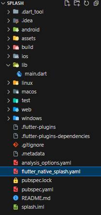 flutter splash screen만들기
