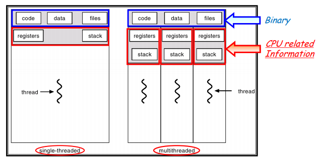 🎈 Operating System Quiz
