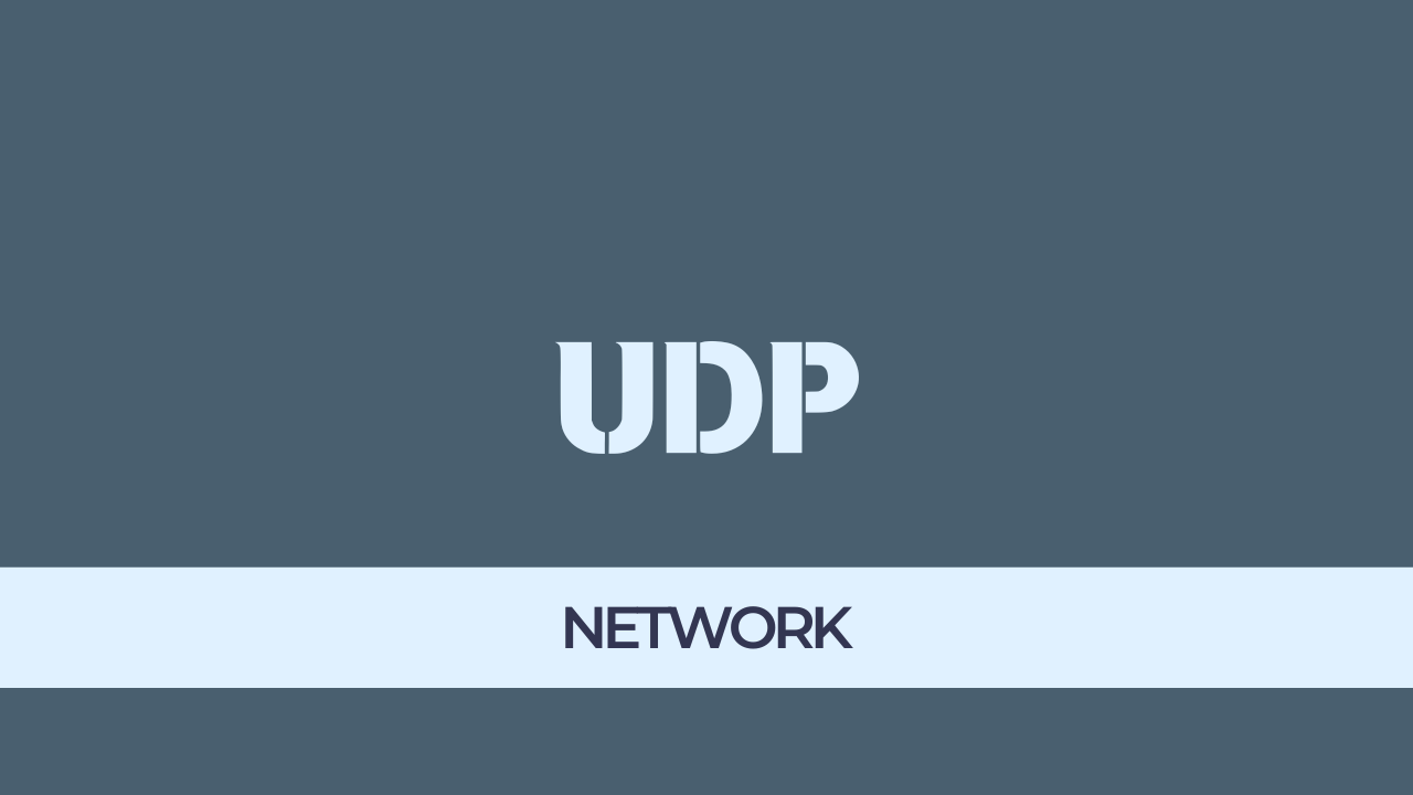 [네트워크] UDP