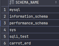 SQL Injection (Information_schema 사용)