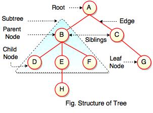 TIL About Tree/Binary Search Tree/Graph Datastructure