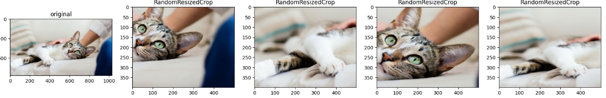 Data Augmentation (2)