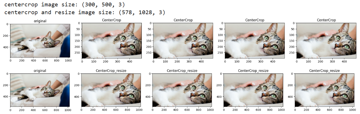 Data Augmentation (2)