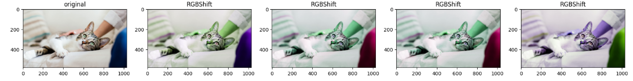 Data Augmentation (2)
