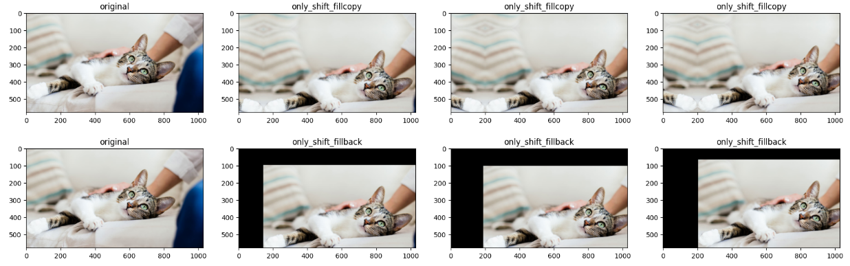 Data Augmentation (2)