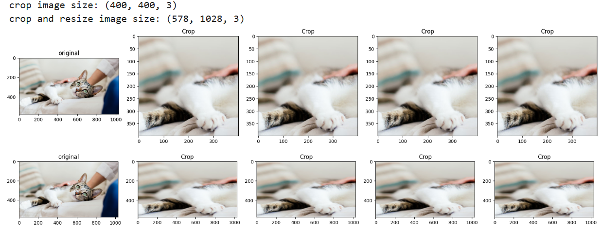 Data Augmentation (2)