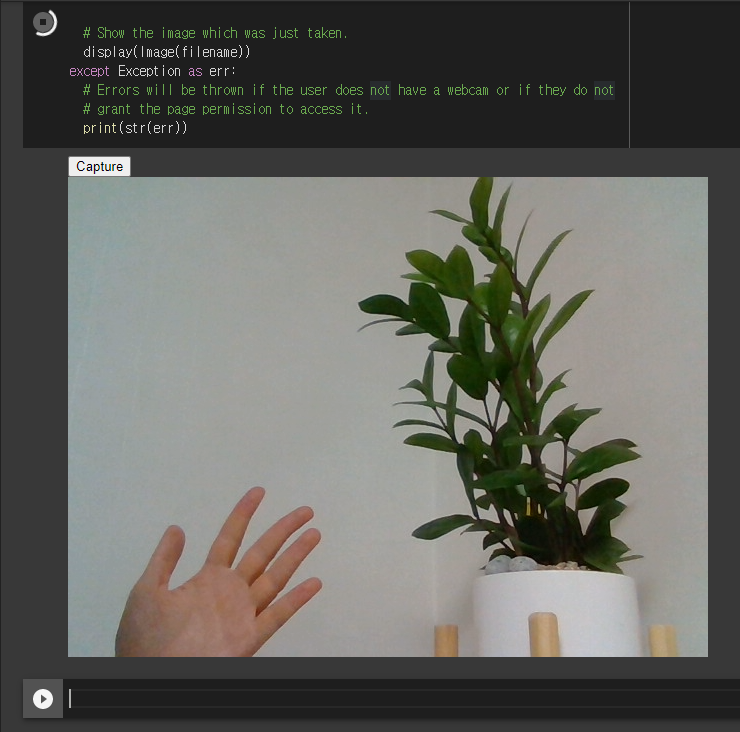 using webcam in google colab (python, javascript)