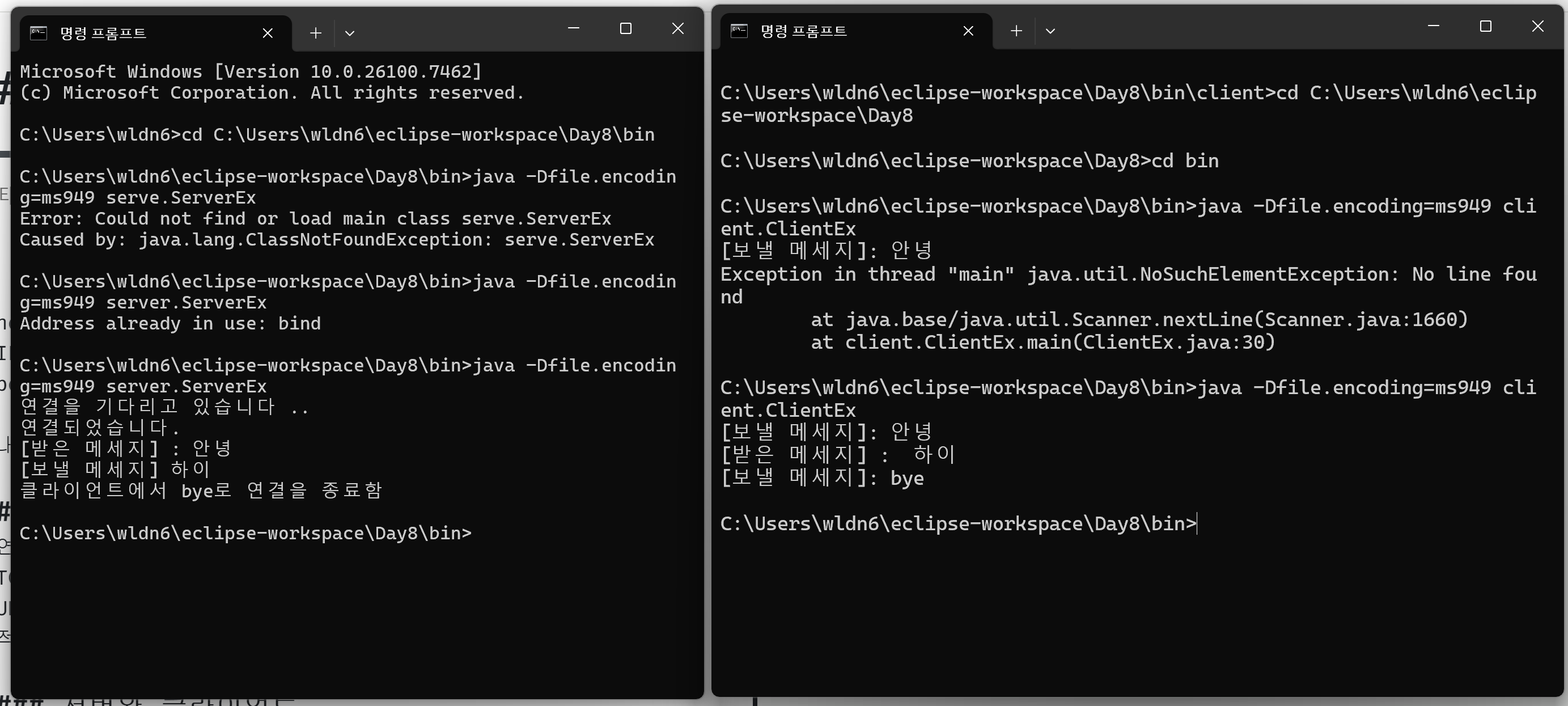 #8 Network Programming (작성중)