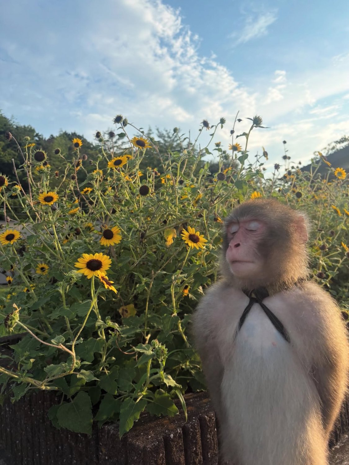 사전캠프 1일차 TIL