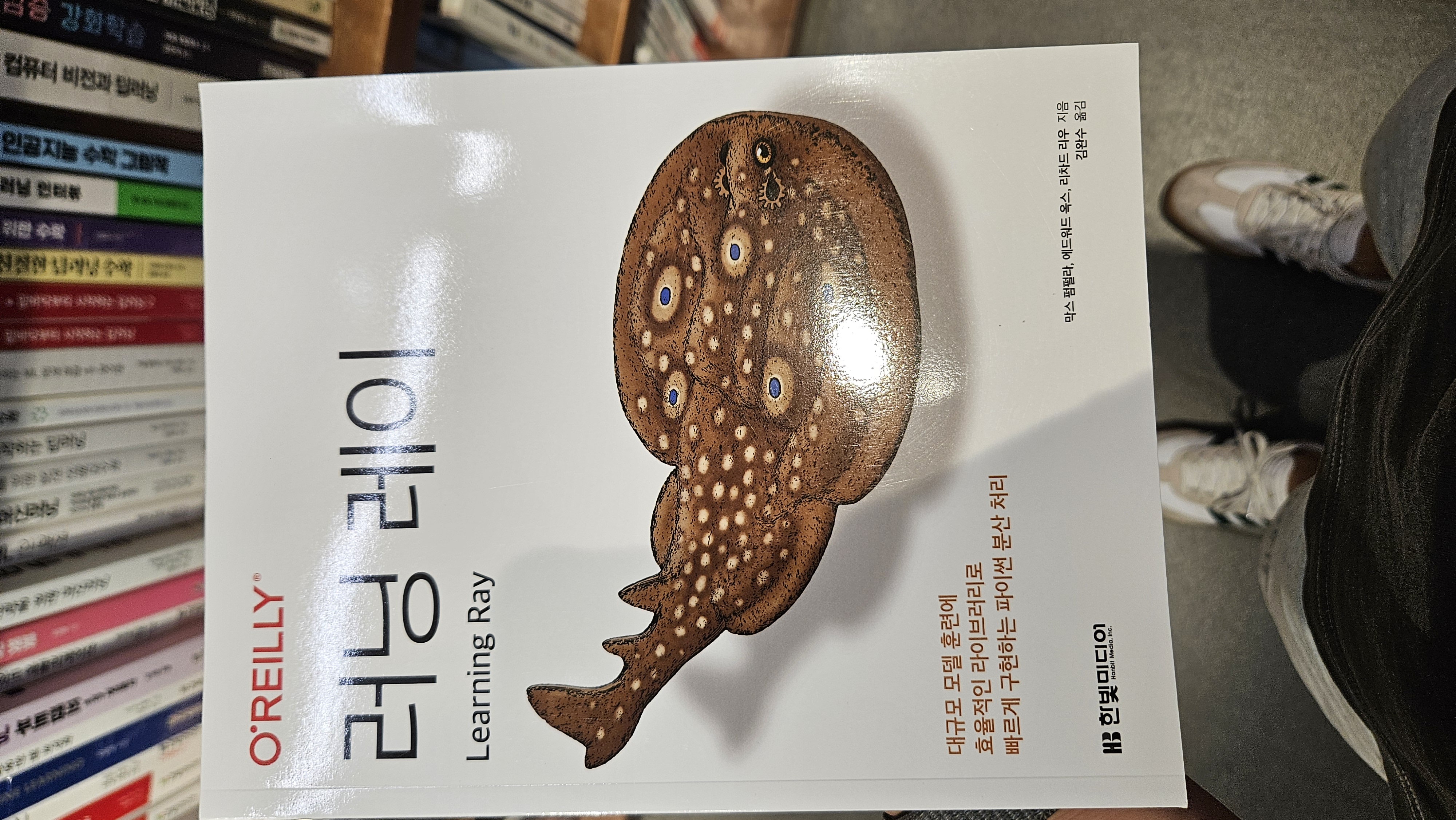 ray 를 통한 클러스터 구축