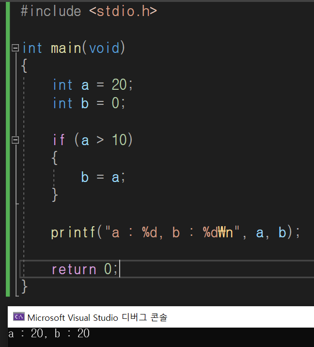 C언어 선택문(if, switch ~ case)