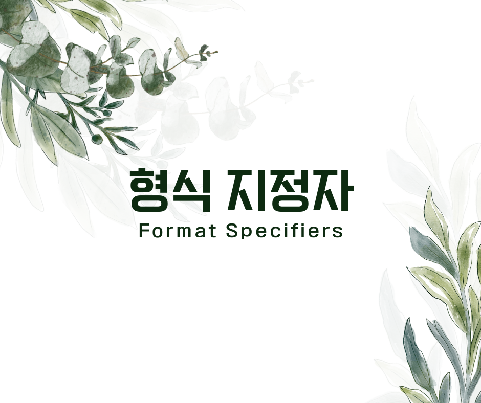 C# 형식 지정자(format specifiers)