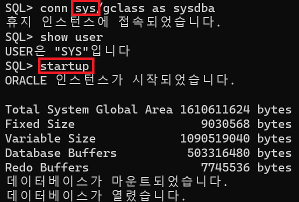 Oracle 실행 Database Sql Developer 설치