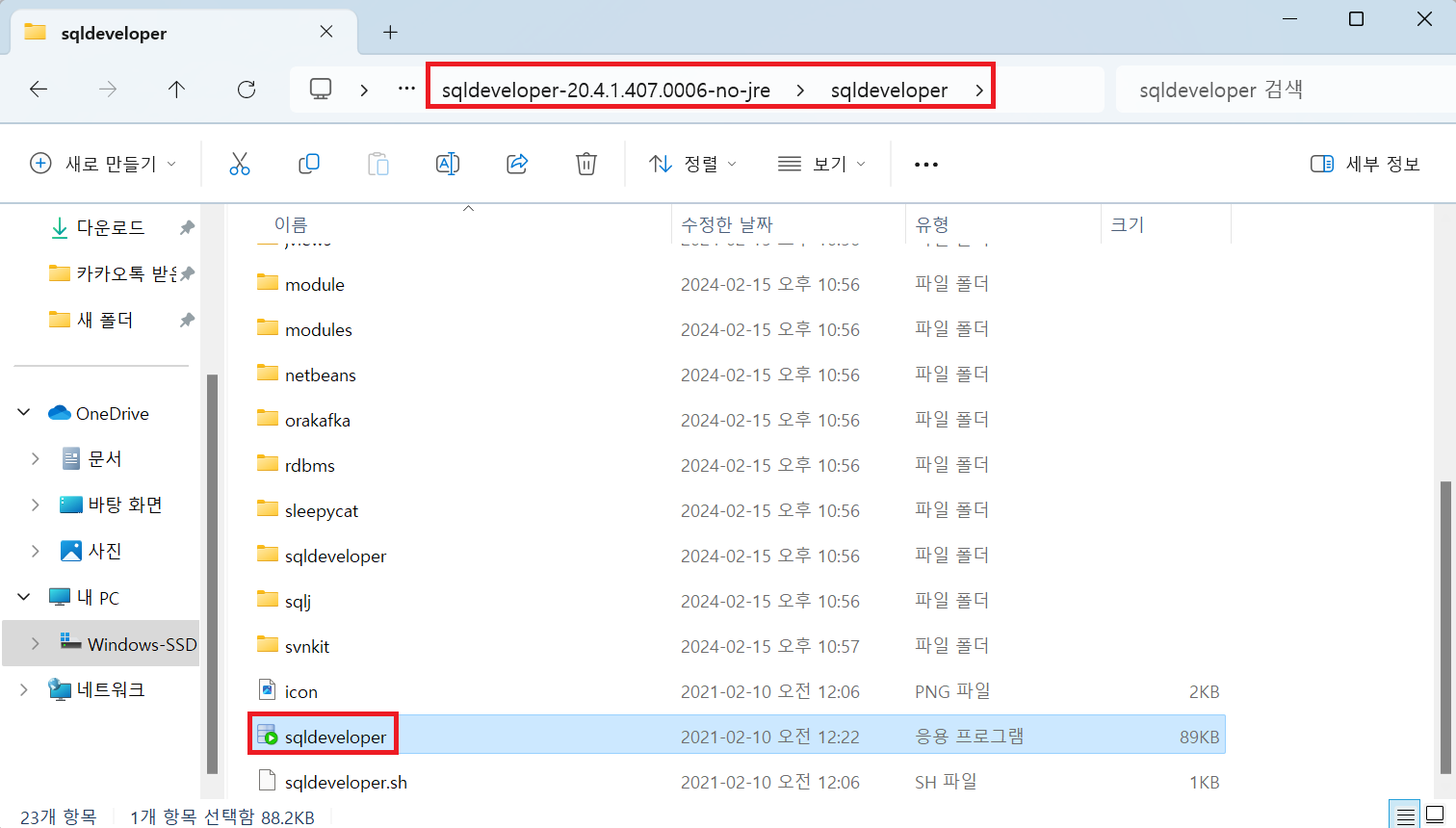 Oracle 실행 Database Sql Developer 설치