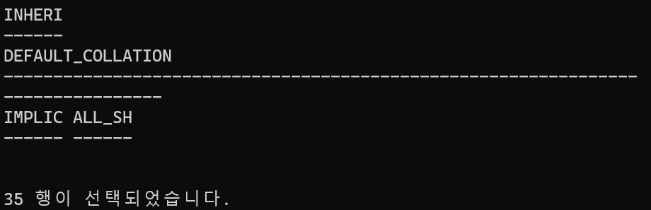 Oracle 실행 Database Sql Developer 설치