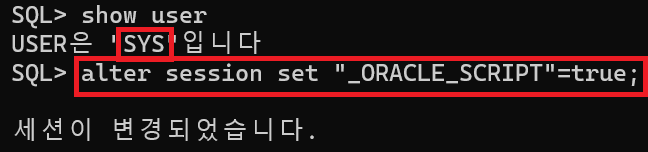 Oracle 실행 Database Sql Developer 설치