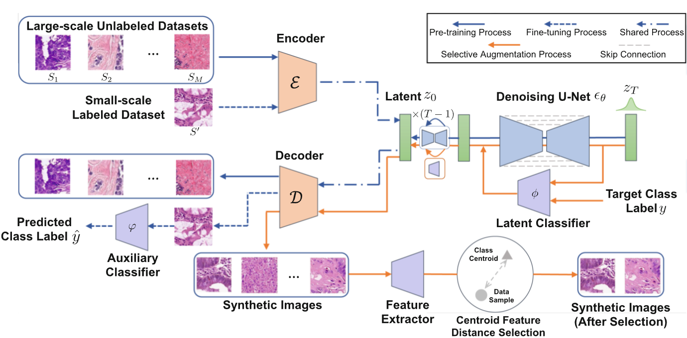 Medical Diffusion Paper Research