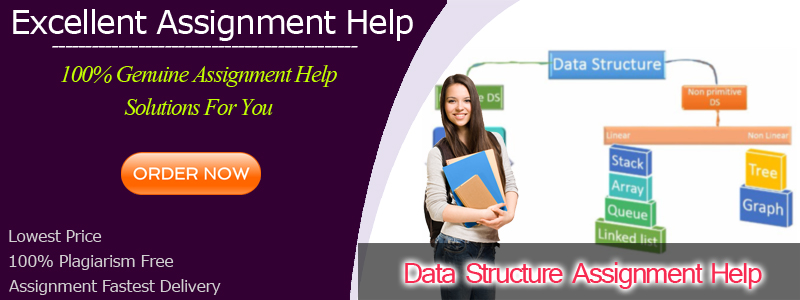 What Makes Our Data Structure Assignment Help Unique?