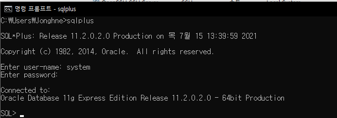 오라클 기동시(startup) 에러 발생 해결 (ORA-00119, ORA-00130)