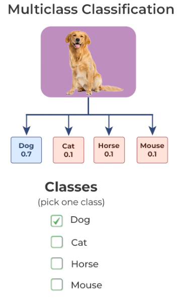 Multiclass Classfication (1)