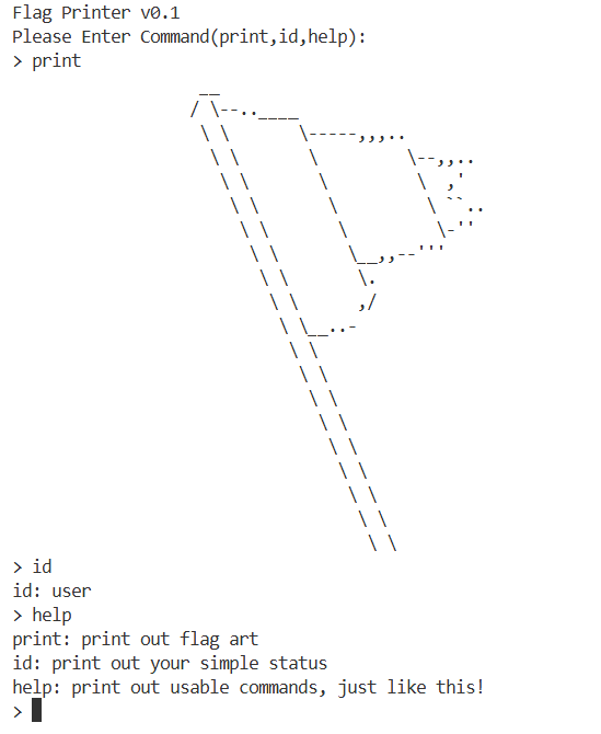 flag printer(level 1)