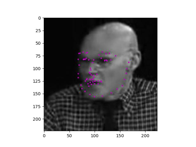 Simple Facial Keypoints Detection