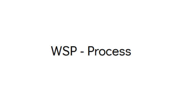 9/19 WSP - Process