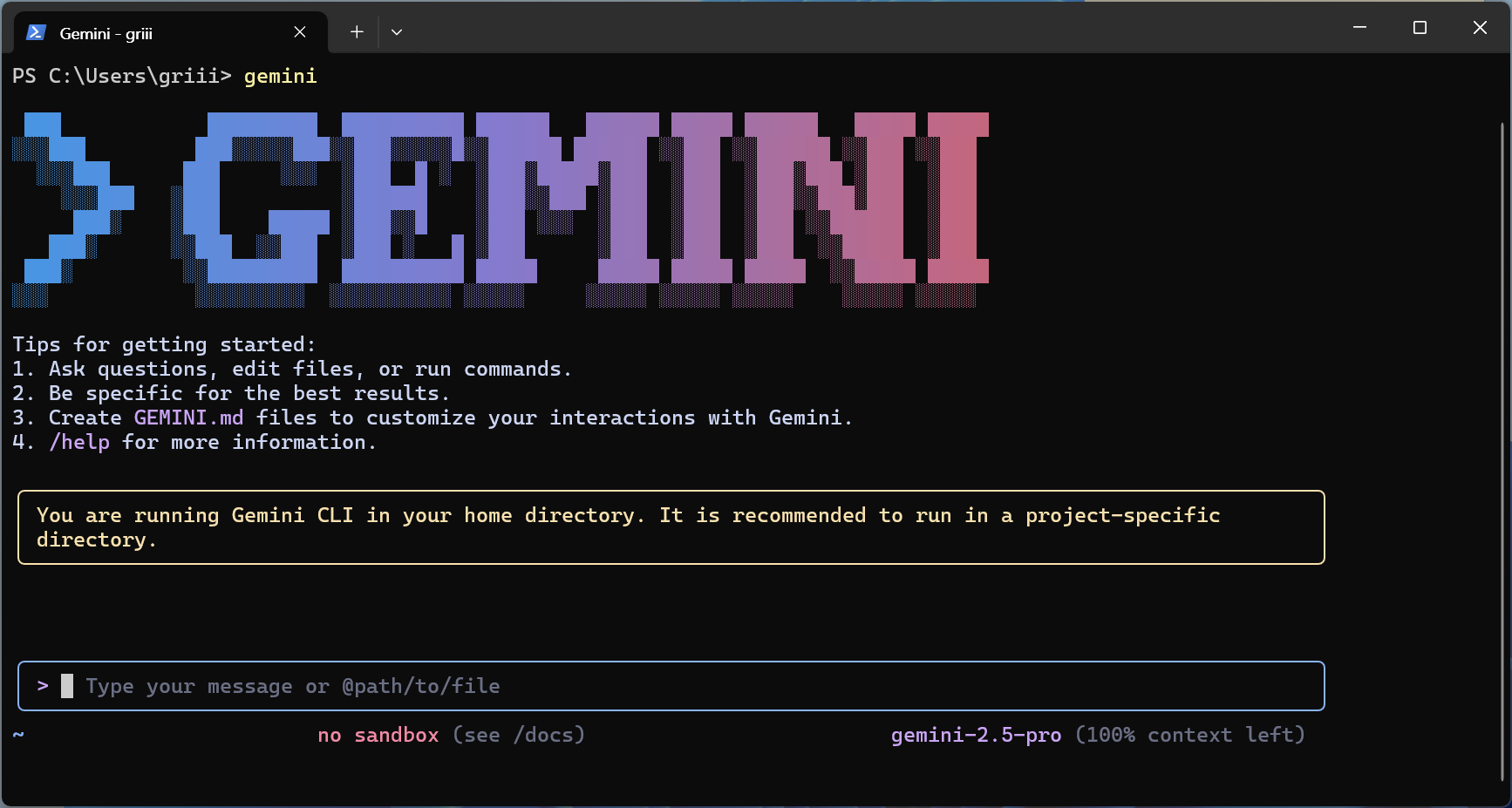 Visual Studio에서 Gemini-CLI 이용하기