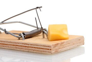 프로그래머스 줄서는 방법