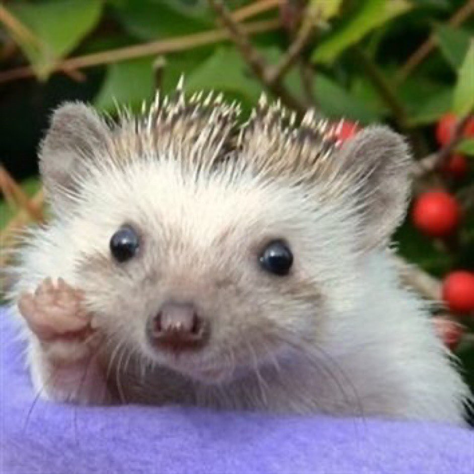 junr_65535 (JUN) / 시리즈- velog