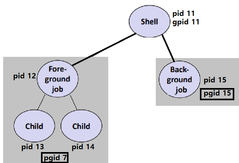 SP - 1.5 Fundamentals of Shell & Signal