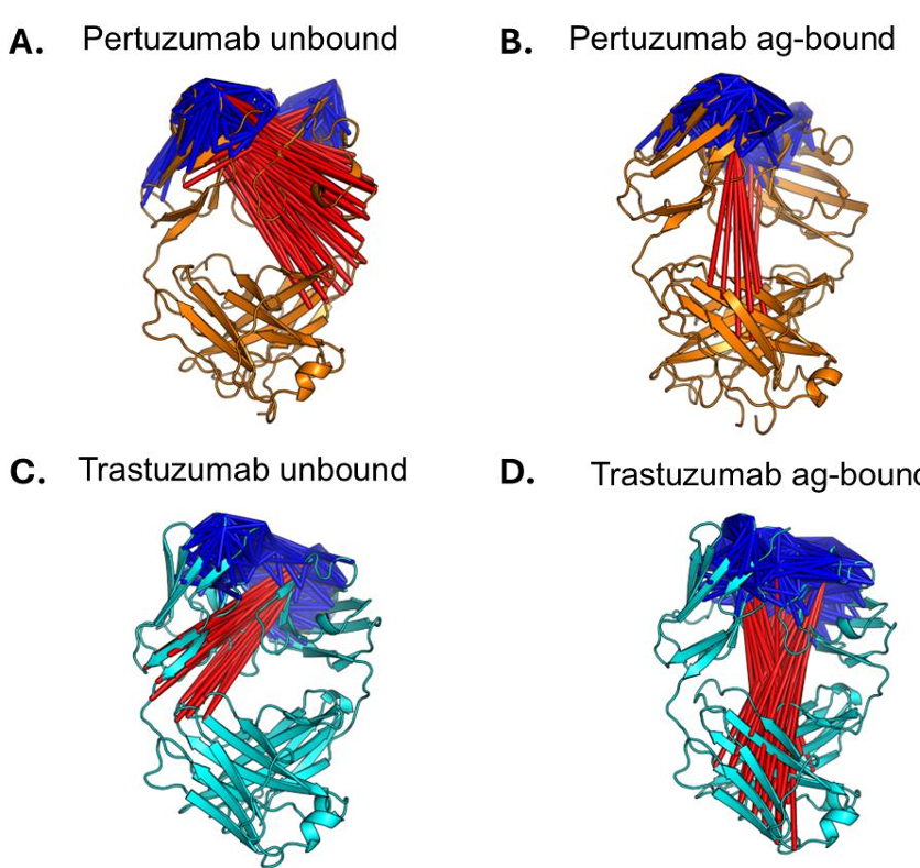 [논문 요약] Are frameworks independent from CDRs in antibodies? Exploring ...