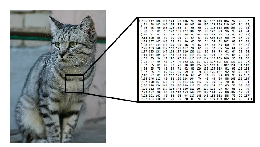 [CS231n] Lec2. Image Classification pipeline