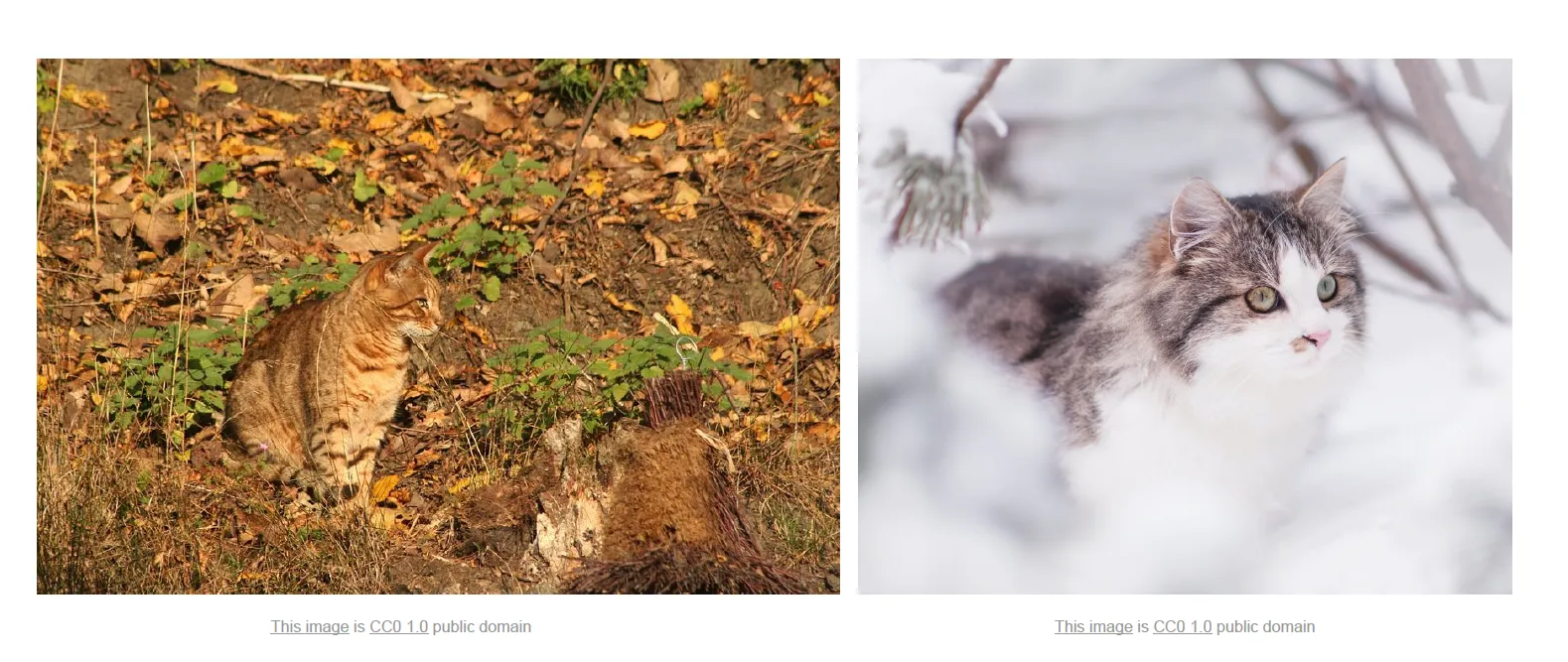 [CS231n] Lec2. Image Classification pipeline