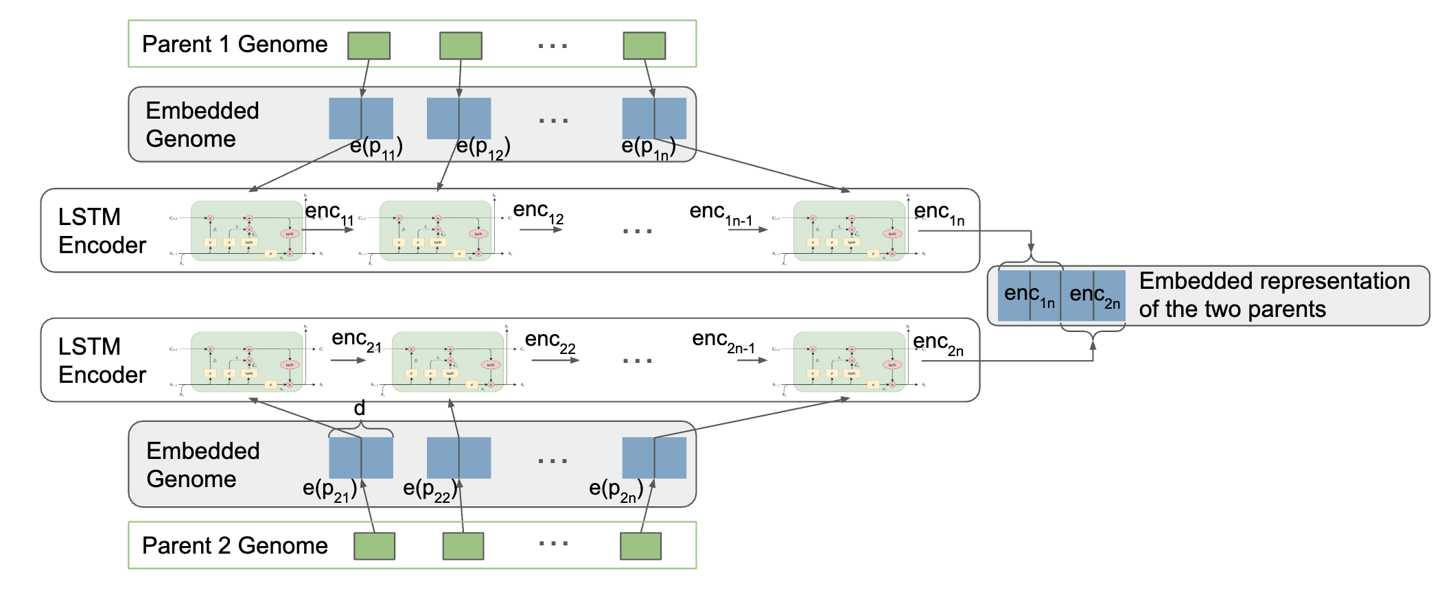 Deep Neural Crossover: A Multi-Parent Operator That Leverages Gene ...
