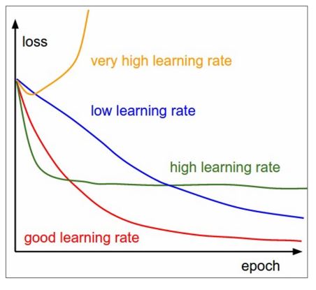 [EECS 498-007 / 598-005] 11. Training Neural Networks(Part 2)