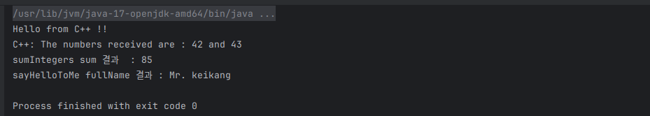 JNI (Java Native Interface)