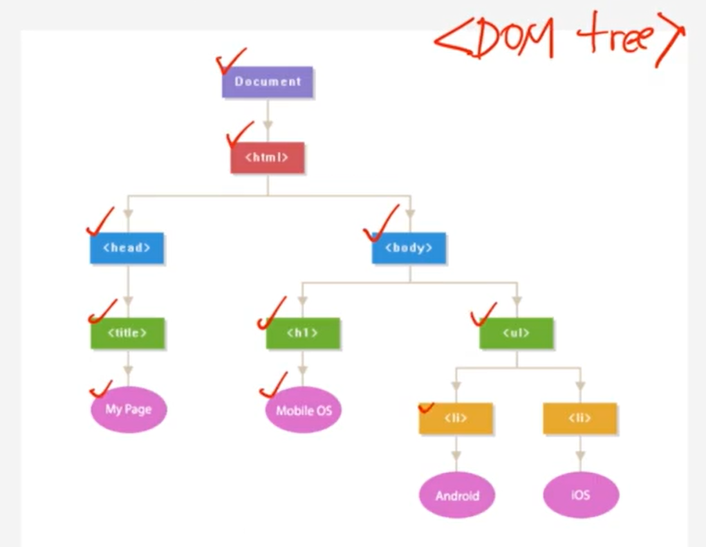 DOM 다시 한 번 정리하기