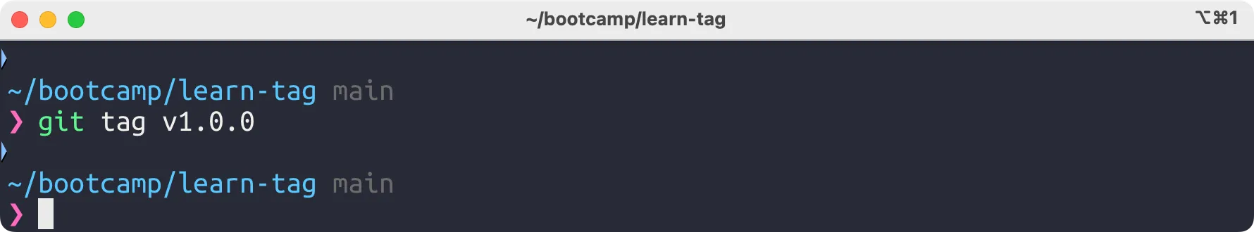 git tag