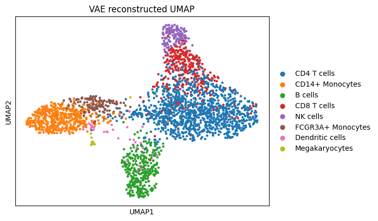 단일세포 RNA-seq을 위한 Variational Autoencoder: 단계별 구현 가이드